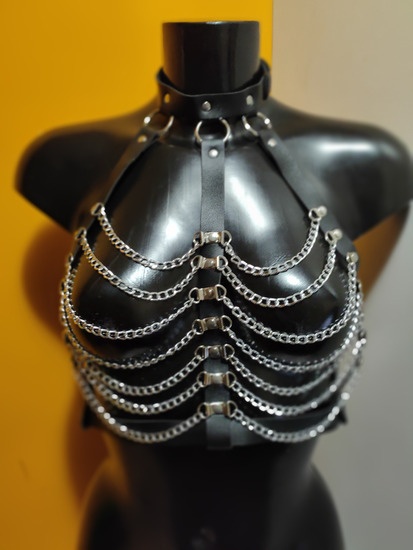 Harness 6