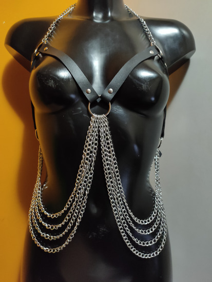 Harness 2