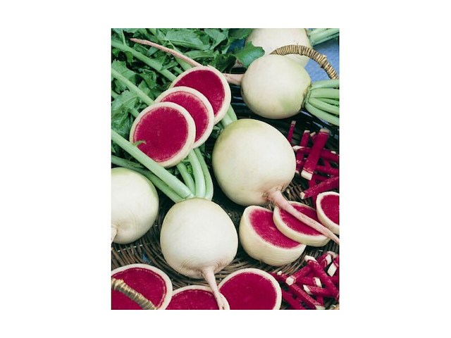 Rotkva Watermelon (50 semenki)