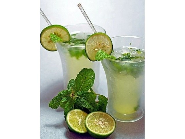Mojito Nana - Mentha Piperita (1000 semenki)