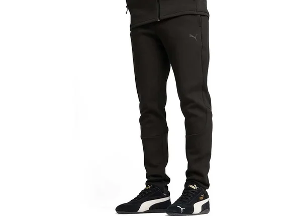 Puma Muški donji deo trenerke Evostripe Core Pants 631533-01