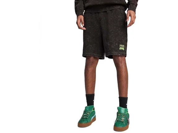 Puma Muški šorts TMNT 630101-01