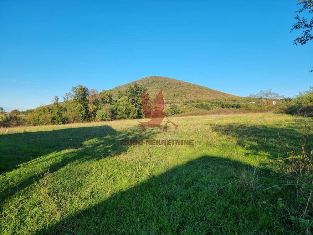 Plac na odličnoj lokaciji na Kosmaju, Kosmaj, Rogača #P752 #1726 218.500 €