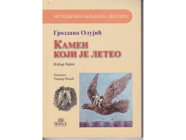 KAMEN KOJI JE LEETO / GROZDANA OLUJIĆ