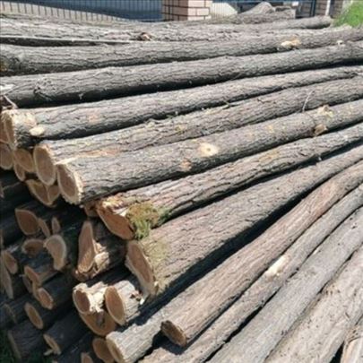 Stubovi bagremovi