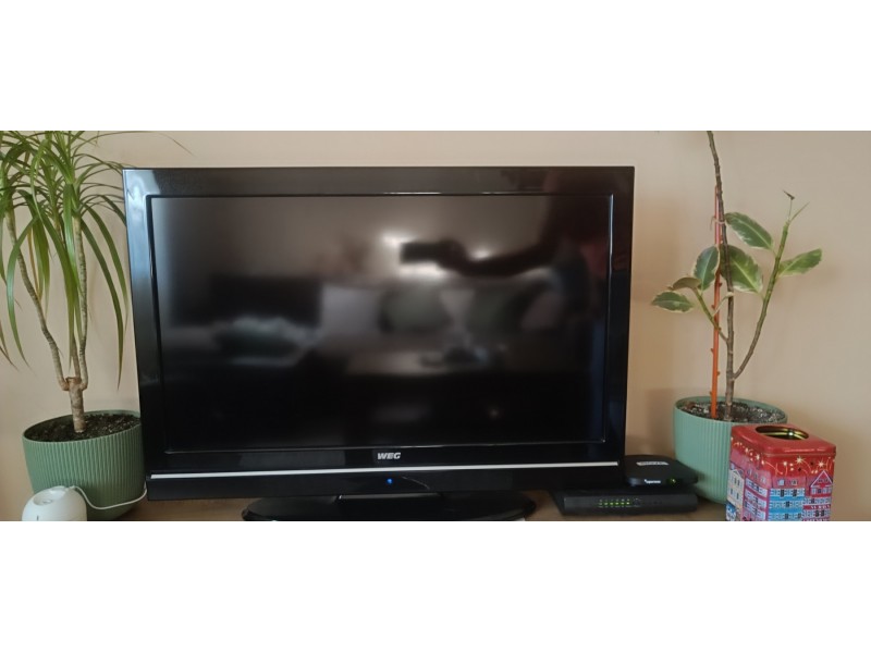 WEG tv