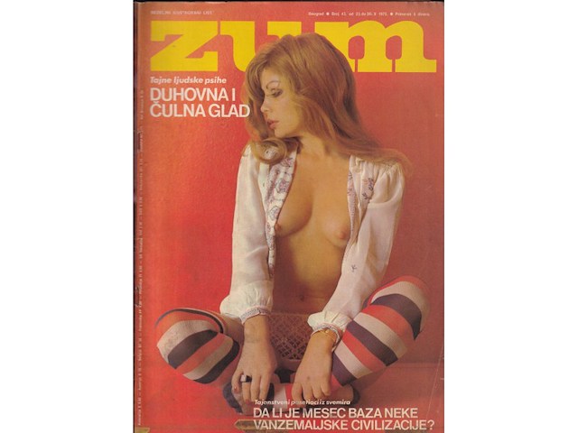 ZUM BR 43/1975