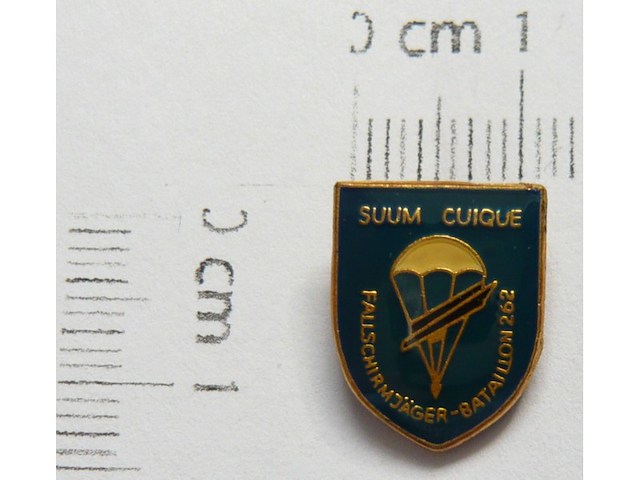 Fallschirmjägerbataillon 262 - Suum cuique
