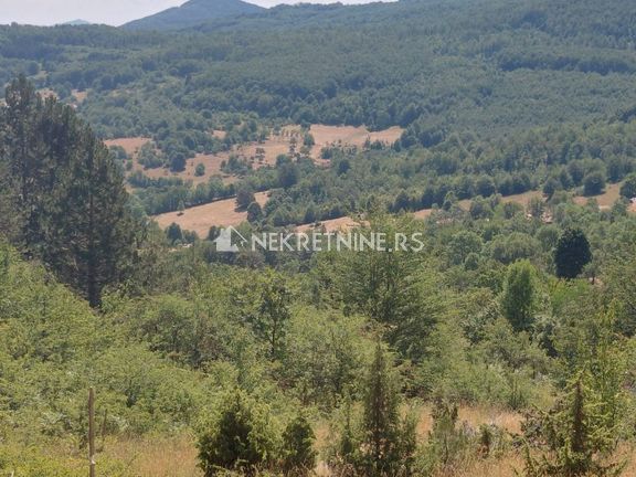 Prodaja placa – 3 ha, Zlatibor (ispod Čigote) ✅