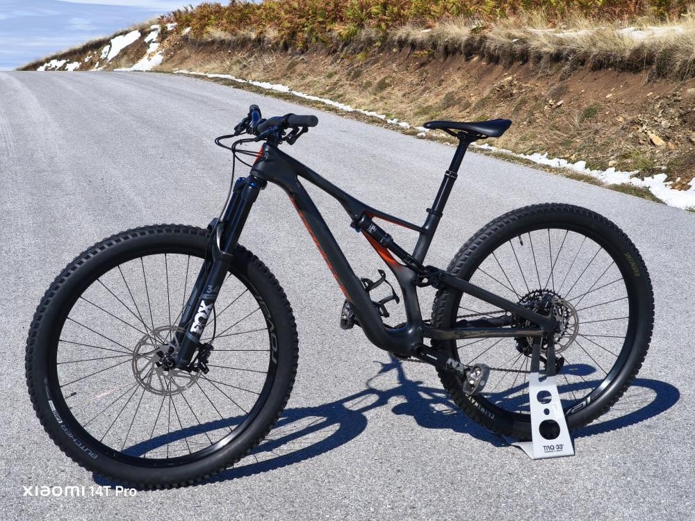 Specialized StumpJumper Comp Carbon 29"