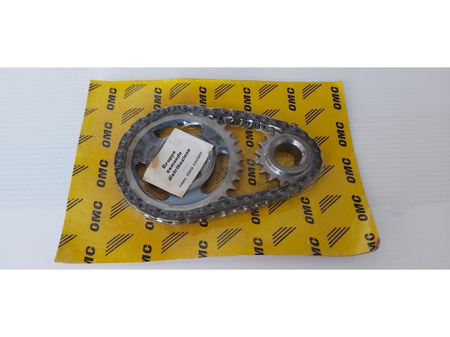 Timing chain kit, Ford Escort Mk1 Mk2 - 6156318