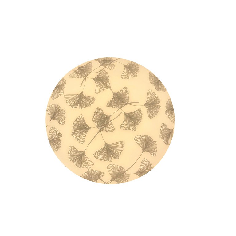 RABALUX plafonjera Benita 3076