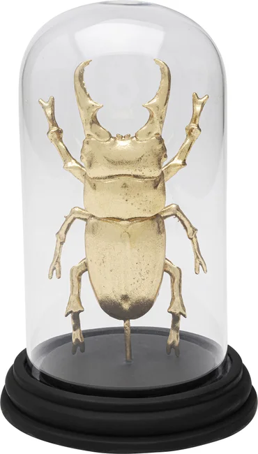 Ukras Bell Jar Hercules Beetle 20cm