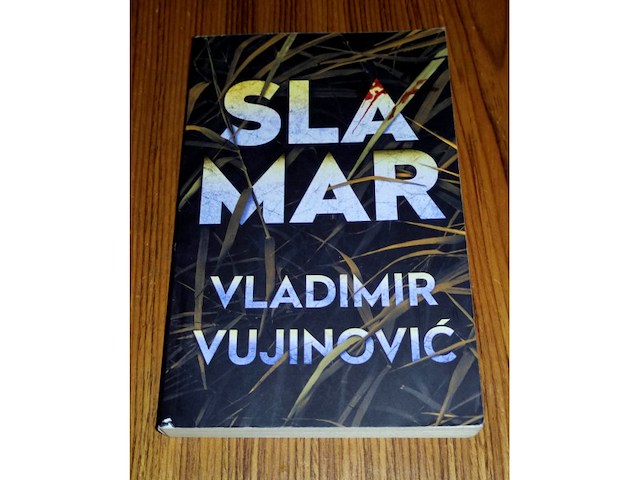 SLAMAR - Vladimir Vujinović