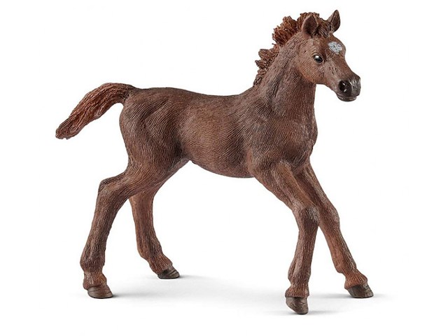 Schleich figurice - Konji - Engleski rasni konj - ždrebe 13857