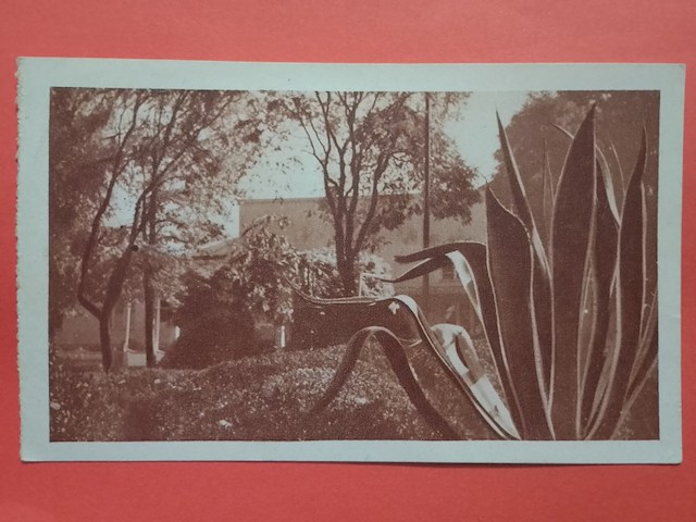 BANJA RUSANDA -STARA RAZGLEDNICA (636)