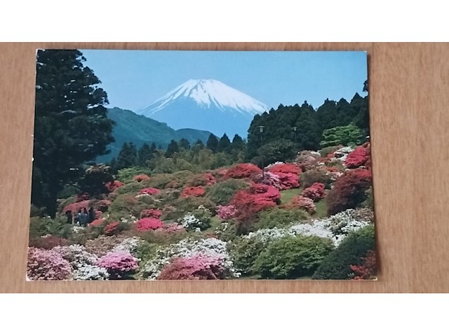 Japan - Planina Fuji - Čista -