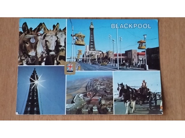 Engleska - England - Blackpool - Životinje - Konji