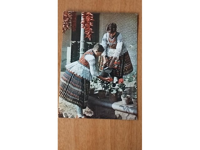 Mađarska - Hungary - Sioagard - Narodna Nošnja -