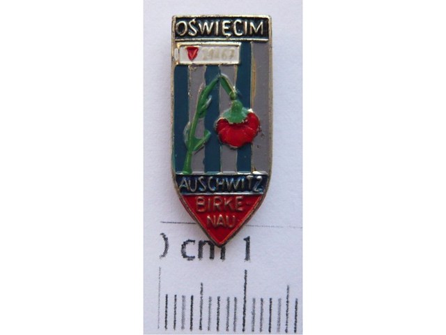 Auschwitz-Birkenau, Oświęcim, koncentracioni logor