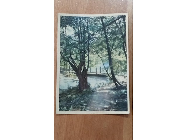 Plitvička Jezera - Putovala 1961.g -