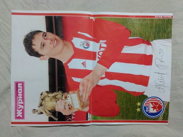 Nikola Zigic
