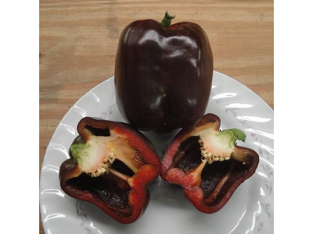 Paprika Čokoladna babura (30 semenki) Chocolate Beauty