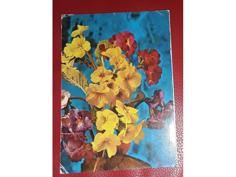 Razglednica - F26