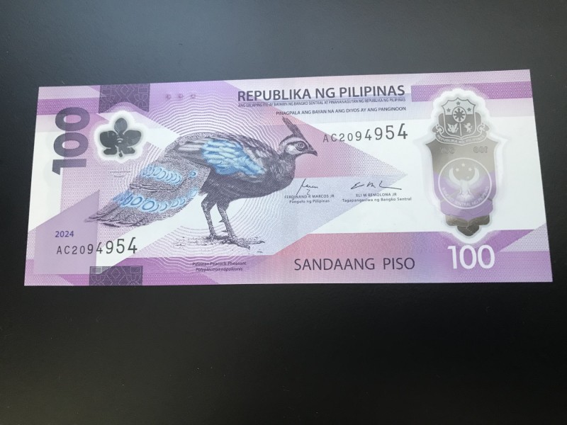 FILIPINI 100 PISO. UNC.POLYMER.
