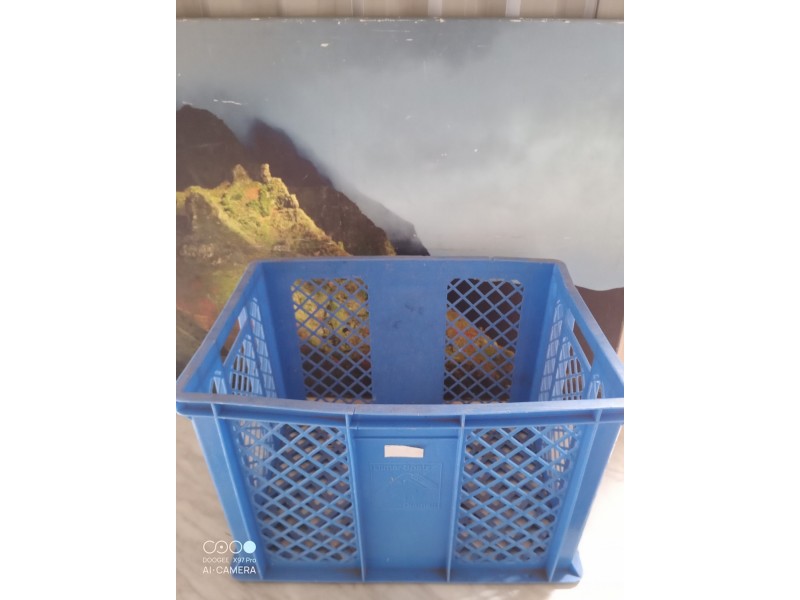 plasticna velika gajba