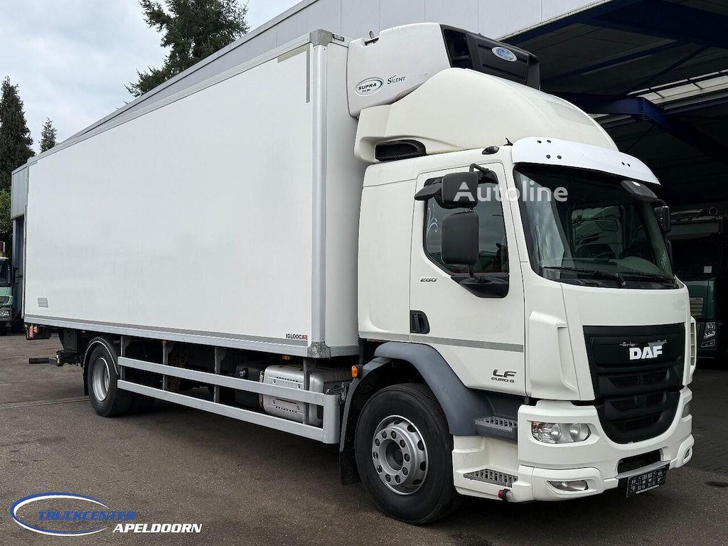 DAF LF 280 Euro 6, Carrier Supra, Oil in the coolant kamion hladnjača nakon udesa