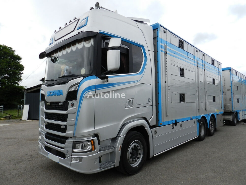 Scania 660S fo pigs or bovines kamion za prevoz stoke