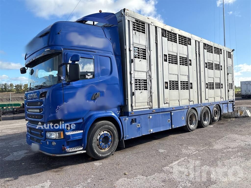 Prodaje se Scania R580 kamion za prevoz stoke na aukciji