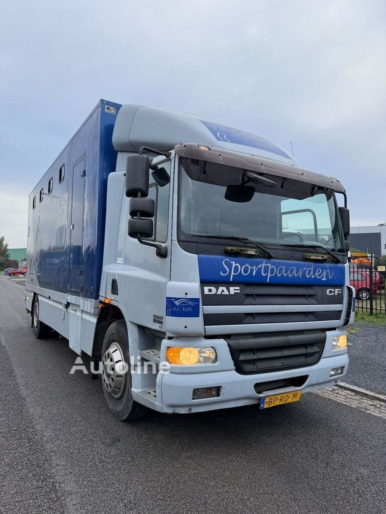 DAF CF 75.360 / Euro 3 / Automatic Gearbox / 2004 / 1.203.418 KMS / kamion za prevoz konja