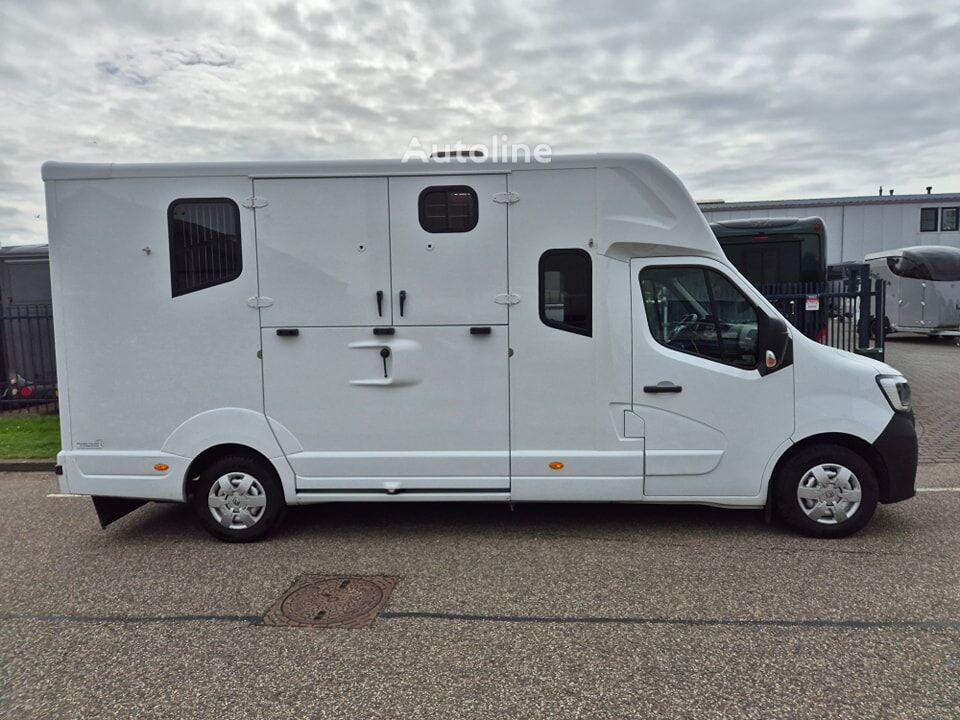 Renault Master kamion za prevoz konja
