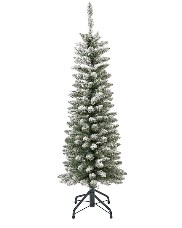 Novogodišnja jelka PENCIL PINE SNOWY - 120cm