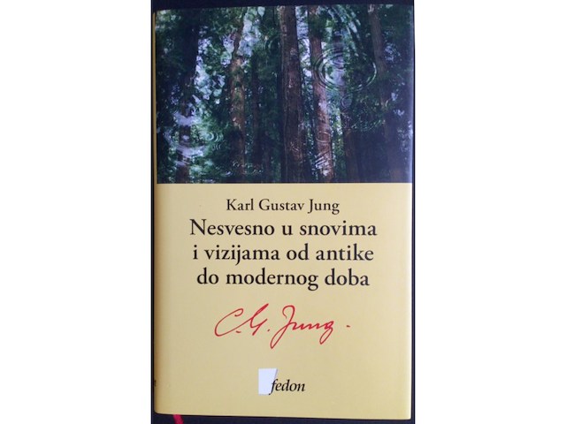 Nesvesno u snovima i vizijama - Karl Gustav Jung