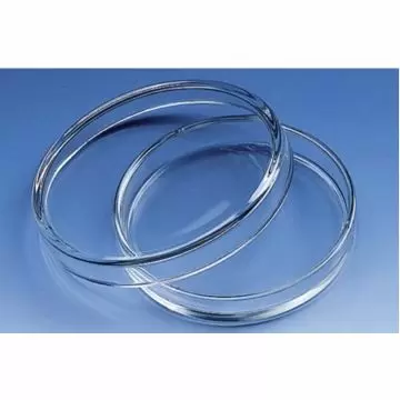 Petri posude Brand 25*150 mm, 10 komada