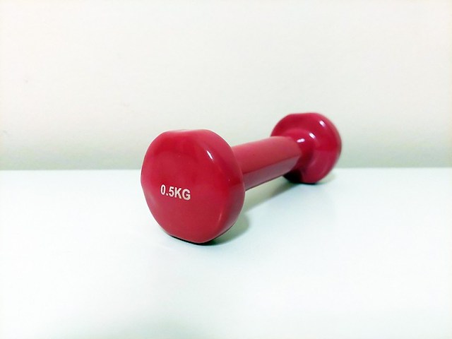 Tegic za fitnes 0,5kg
