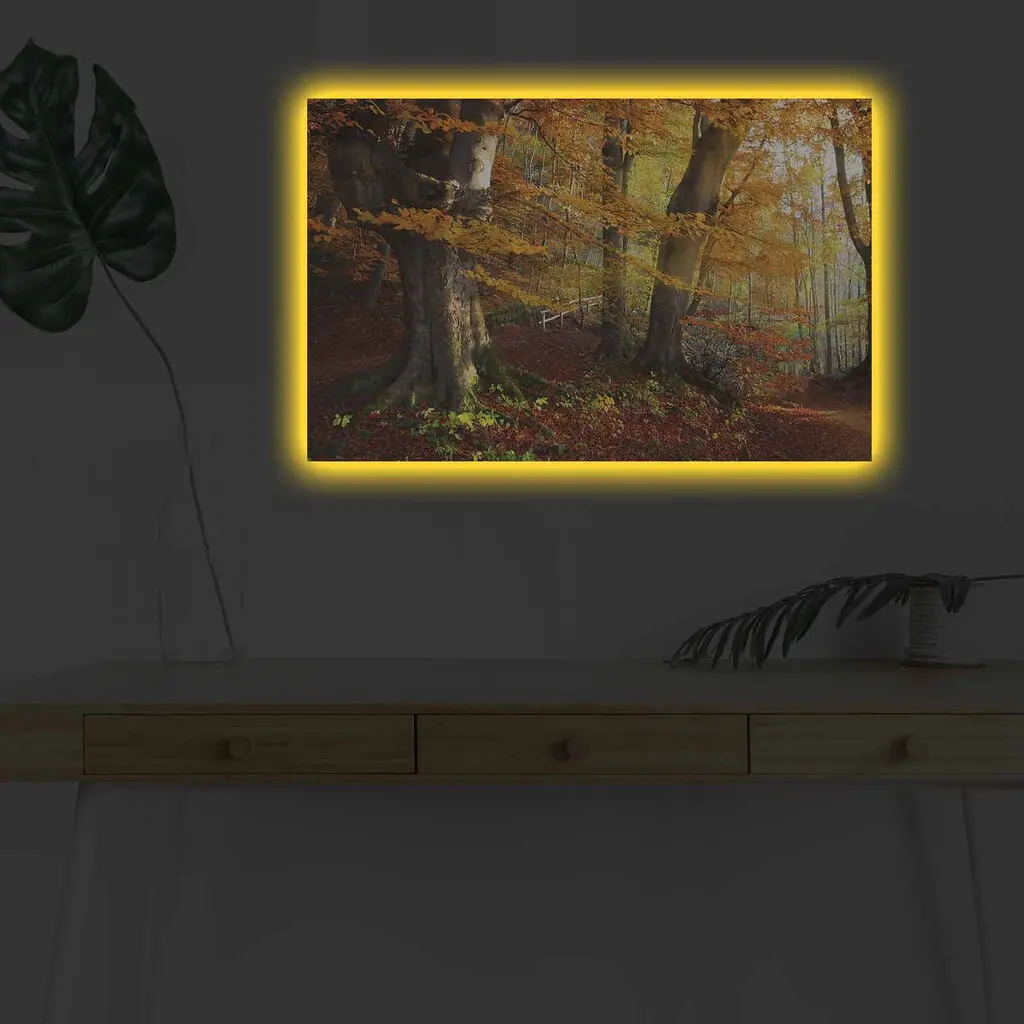 Wallity Slika sa LED osvetljenjem 4570DHDACT-151, 45x70 cm