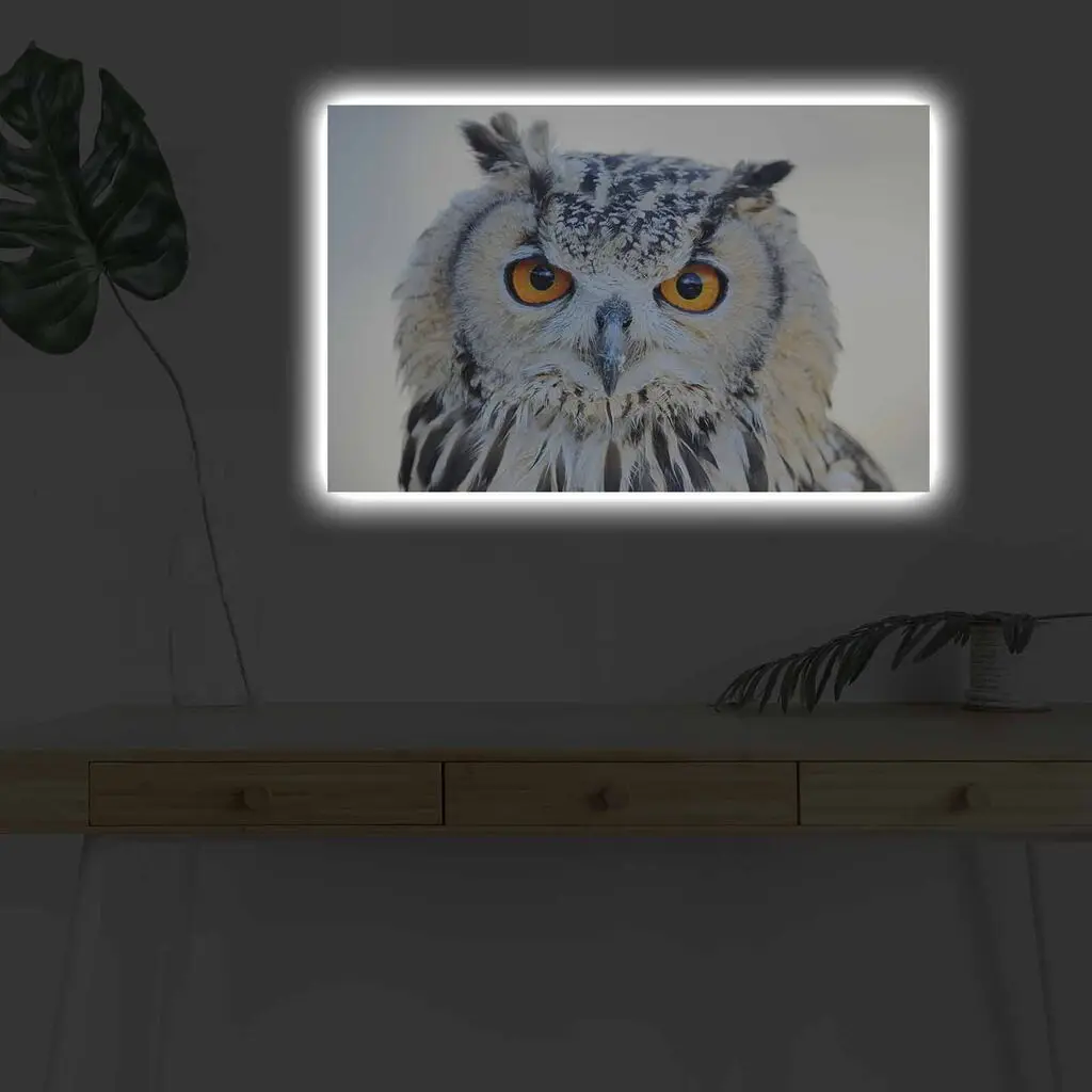 Wallity Slika sa LED osvetljenjem 4570DHDACT-142, 45x70 cm