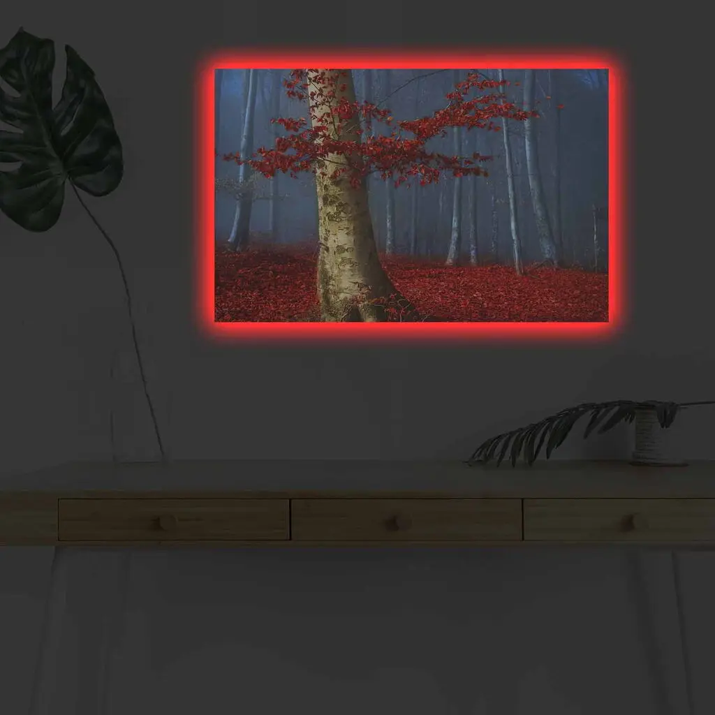 Wallity Slika sa LED osvetljenjem 4570DHDACT-116, 45x70 cm