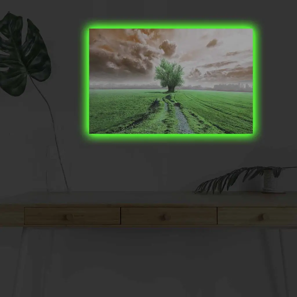 Wallity Slika sa LED osvetljenjem 4570DHDACT-103, 45x70 cm