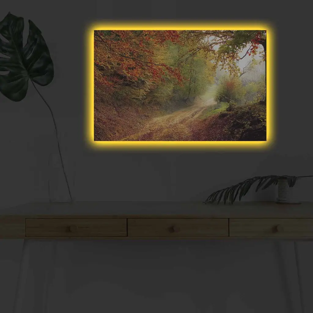 Wallity Slika sa LED osvetljenjem 4570DHDACT-138, 45x70 cm