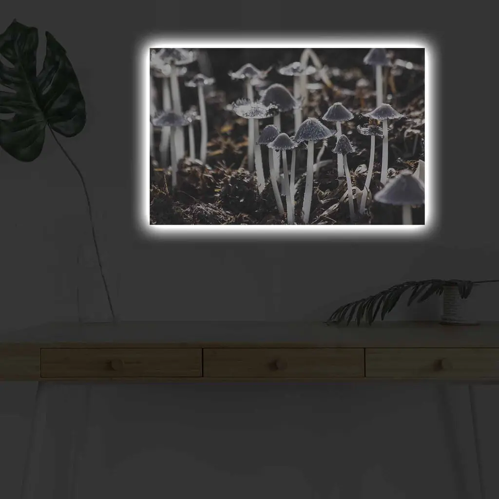 Wallity Slika sa LED osvetljenjem 4570DHDACT-135, 45x70 cm