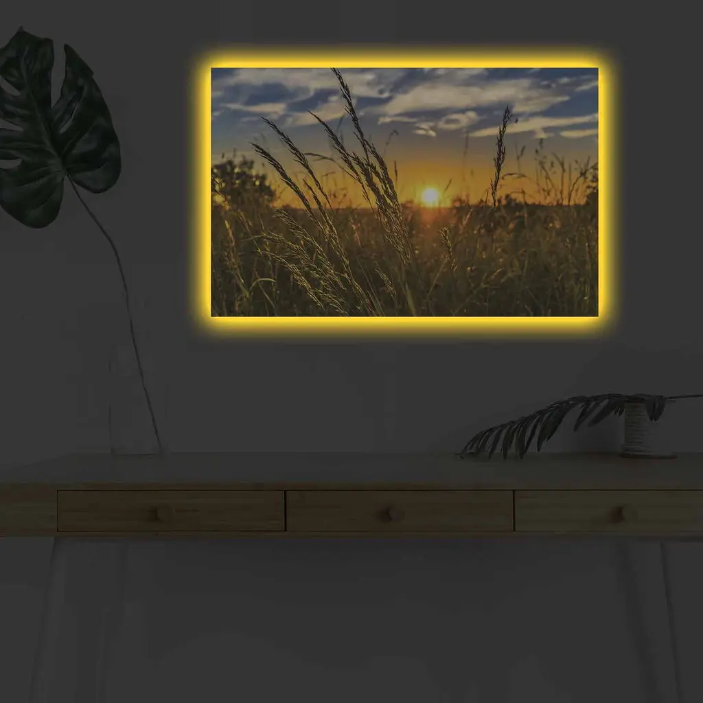 Wallity Slika sa LED osvetljenjem 4570DHDACT-172, 45x70 cm