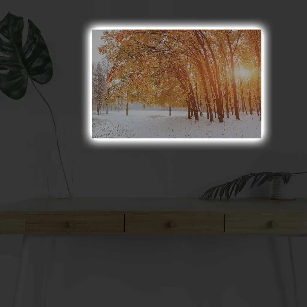 Wallity Slika sa LED osvetljenjem 4570DHDACT-118, 45x70 cm
