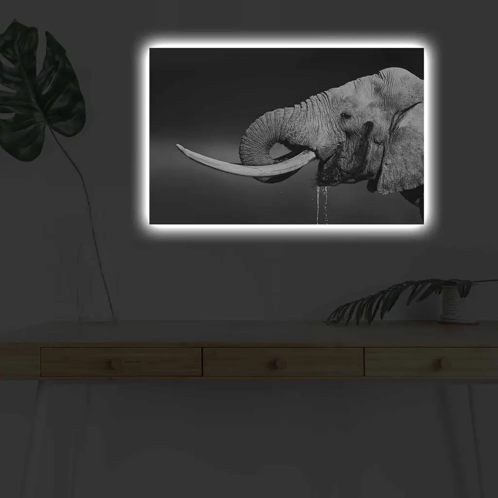 Wallity Slika sa LED osvetljenjem 4570DHDACT-165, 45x70 cm