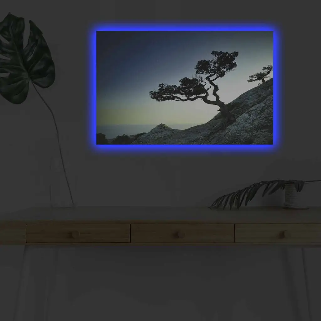 Wallity Slika sa LED osvetljenjem 4570DHDACT-156, 45x70 cm