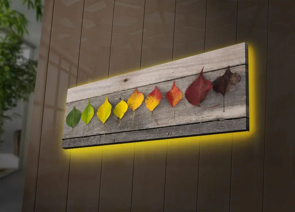 Wallity Slika sa LED osvetljenjem 3090DACT-55, 30x90 cm